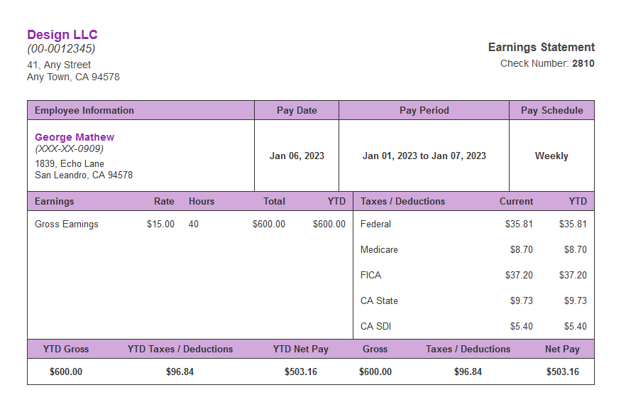 Free Pay Stub Template Preview The Paystub Sample Download