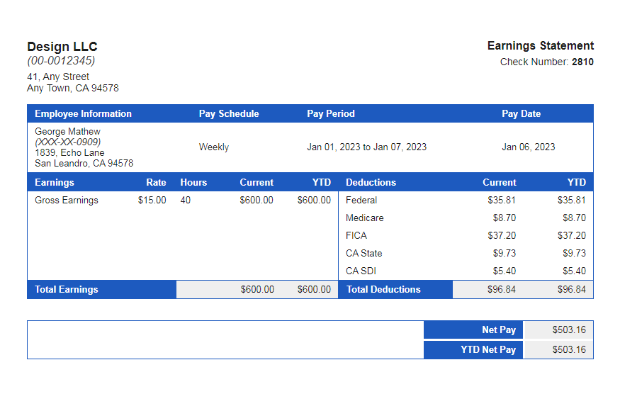 Free Pay Stub Template Preview The Paystub Sample Download